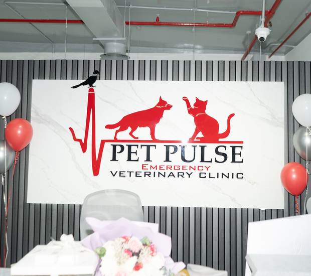 Vet Silicon Oasis: Pet Pulse Veterinary Clinic in Dubai